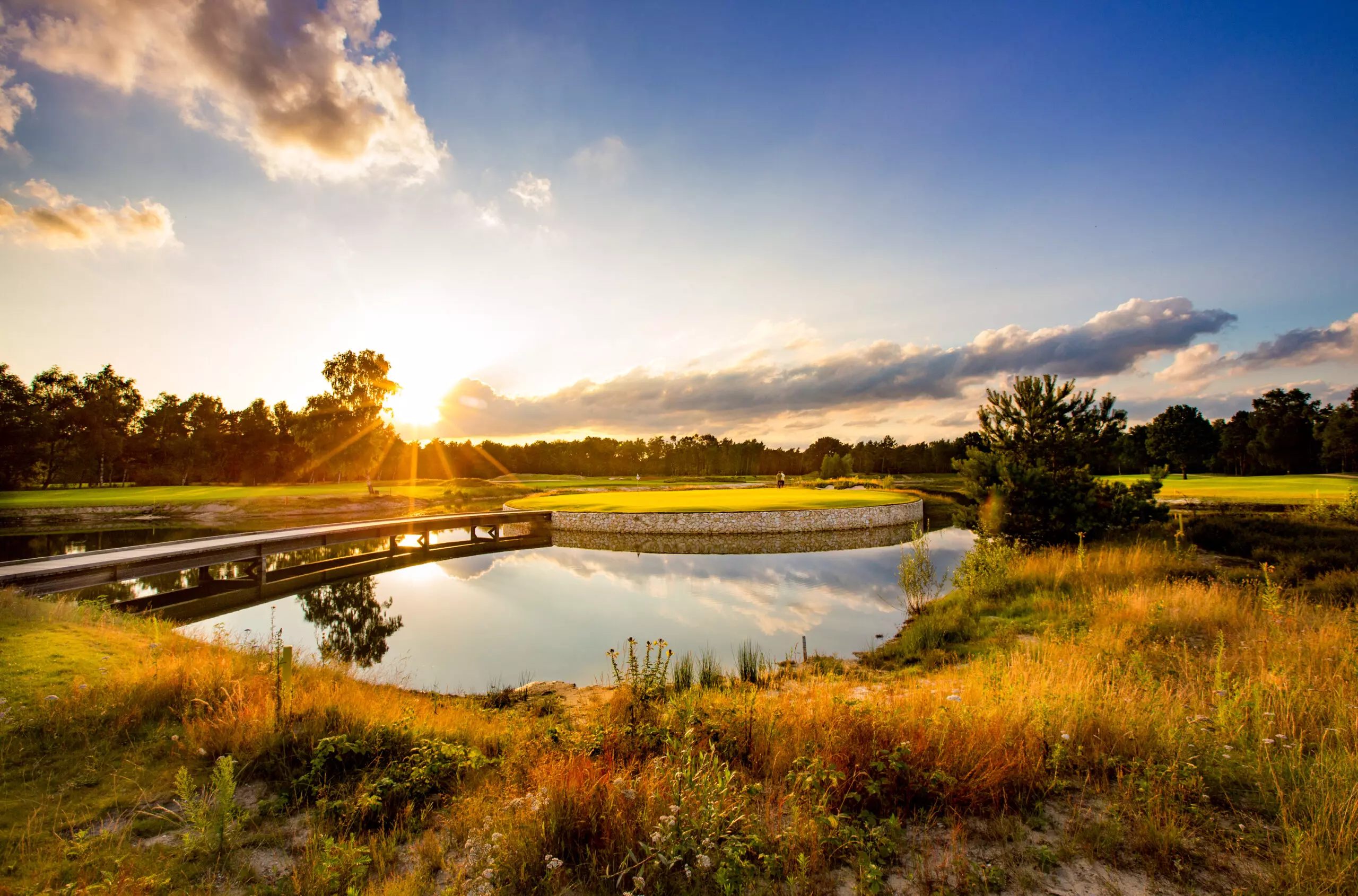 Home - The Duke Golf - Suites