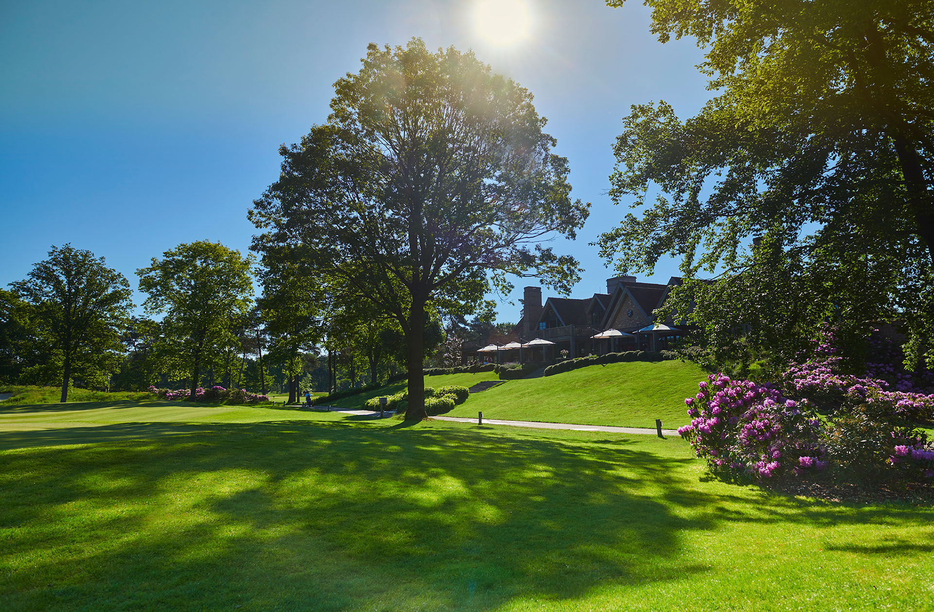 Home - The Duke Golf - Suites